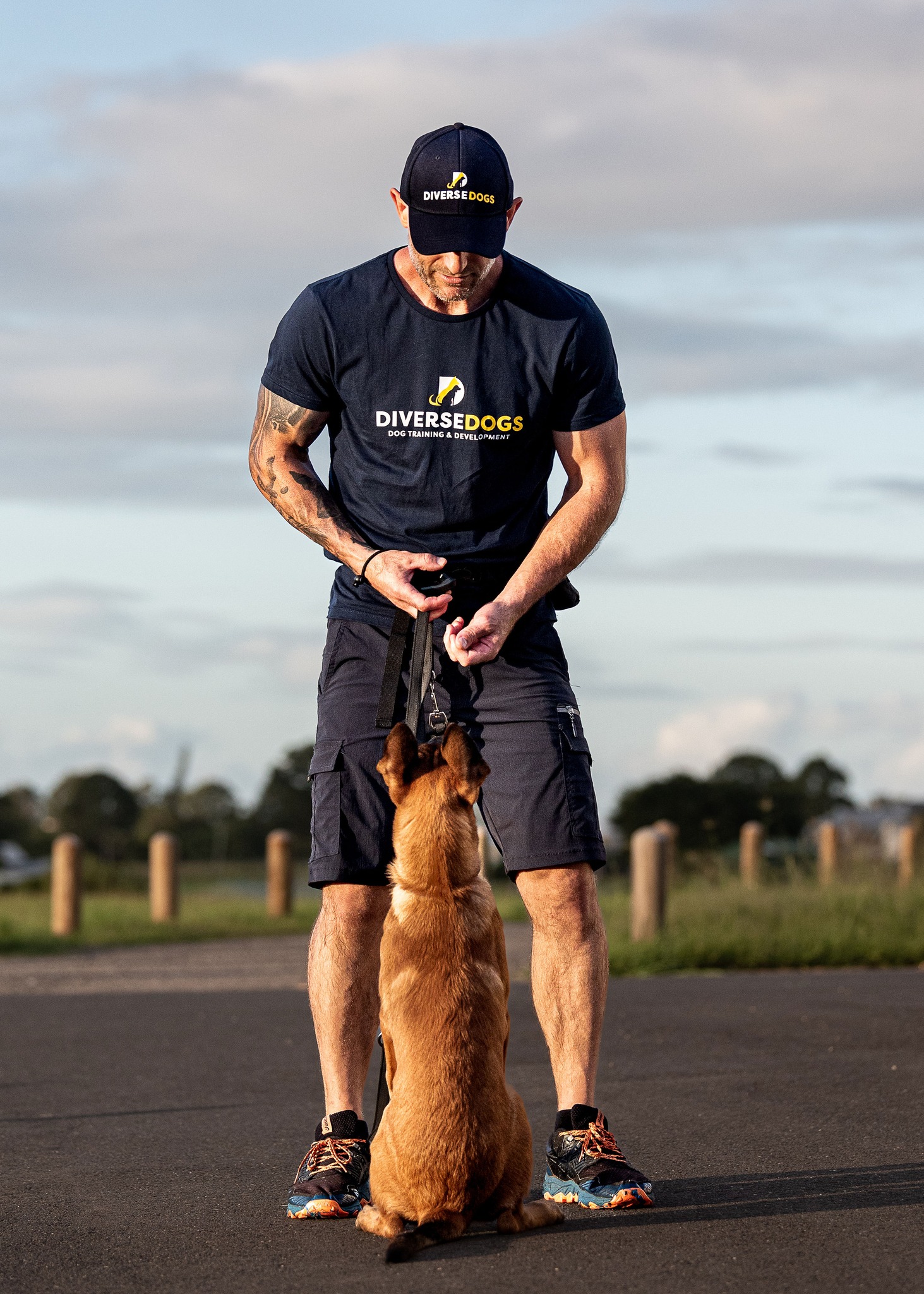 Frequently Asked Questions - Diverse Dogs