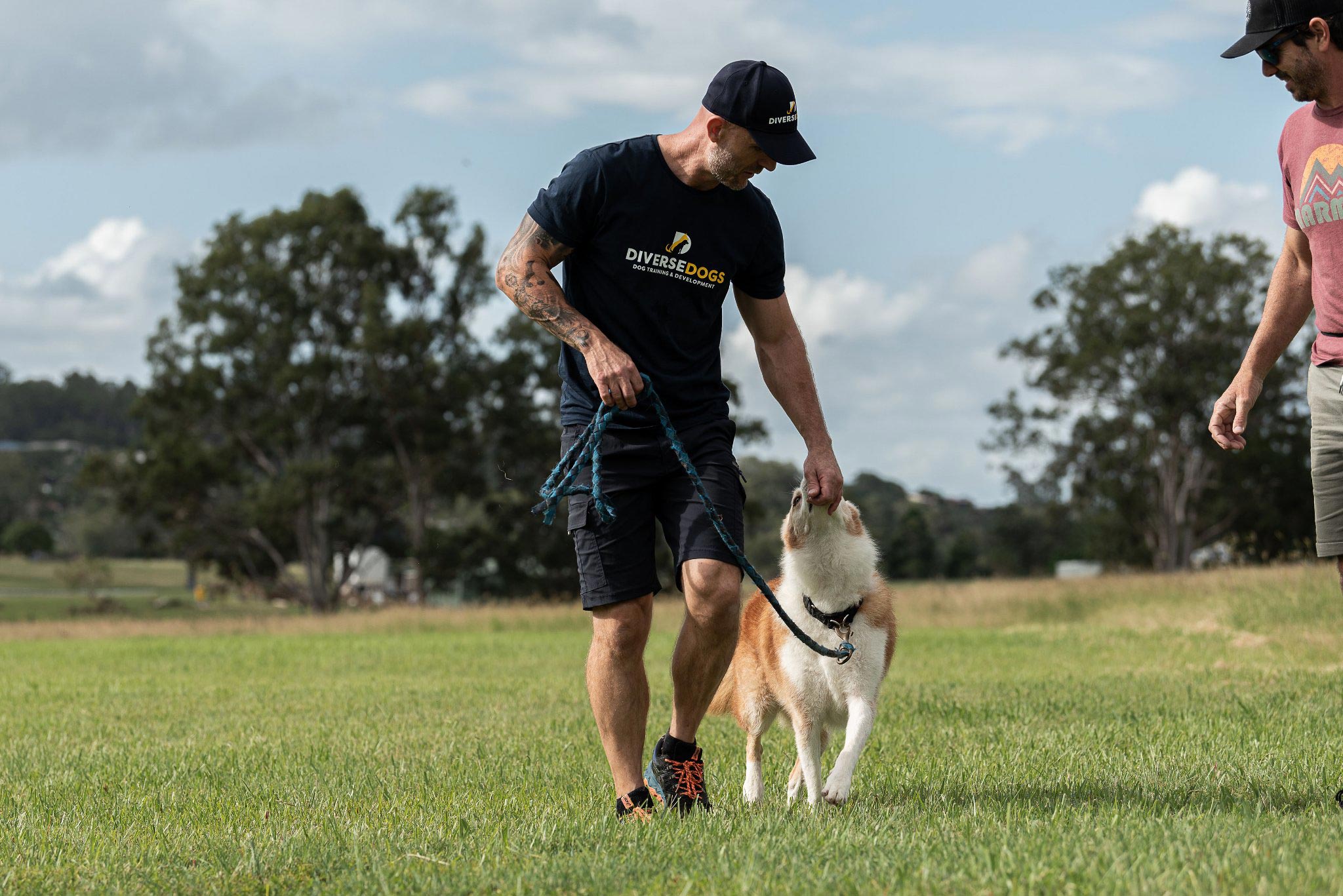 Understanding How Dogs Learn: Conditioning Principles and the ...